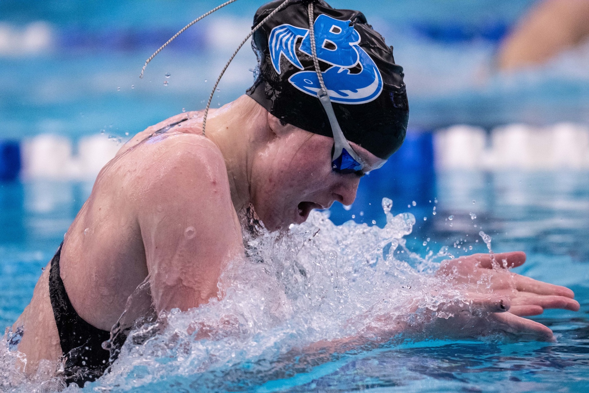 Bluefish Swim Club Home